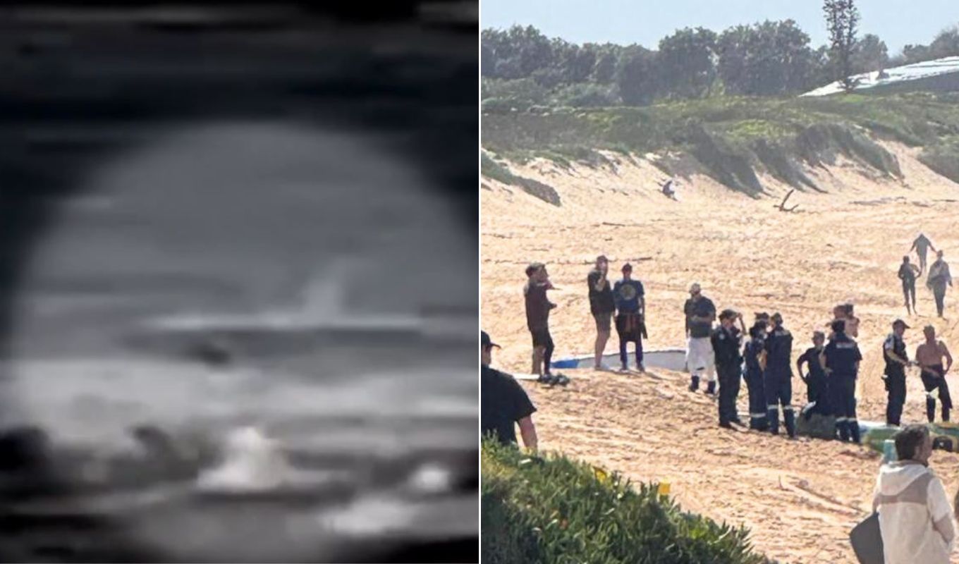 Australia shark attack: Greek-Australian surfer killed in Sydney