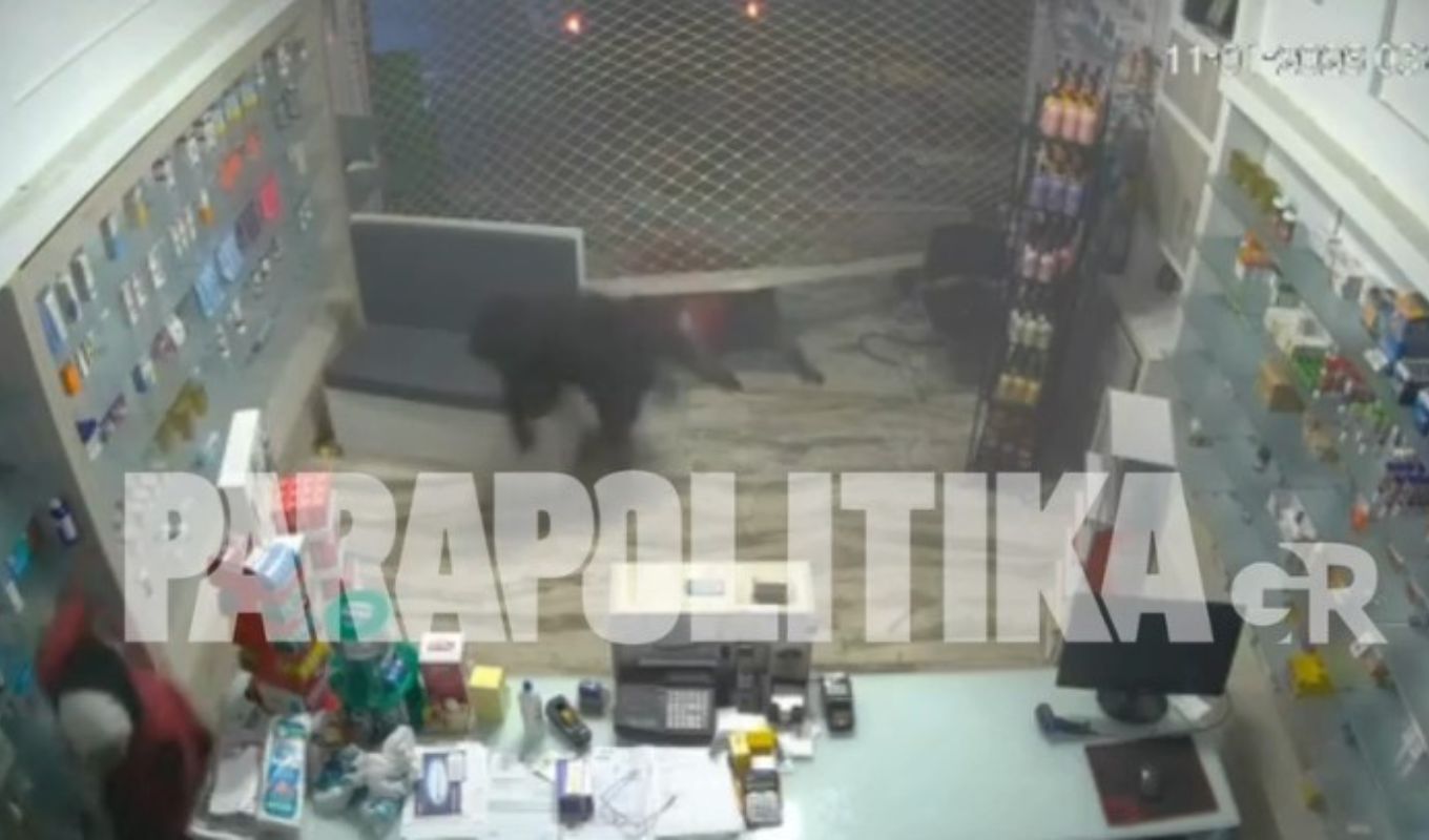 Shocking pharmacy break-in caught on camera in Messina, Greece