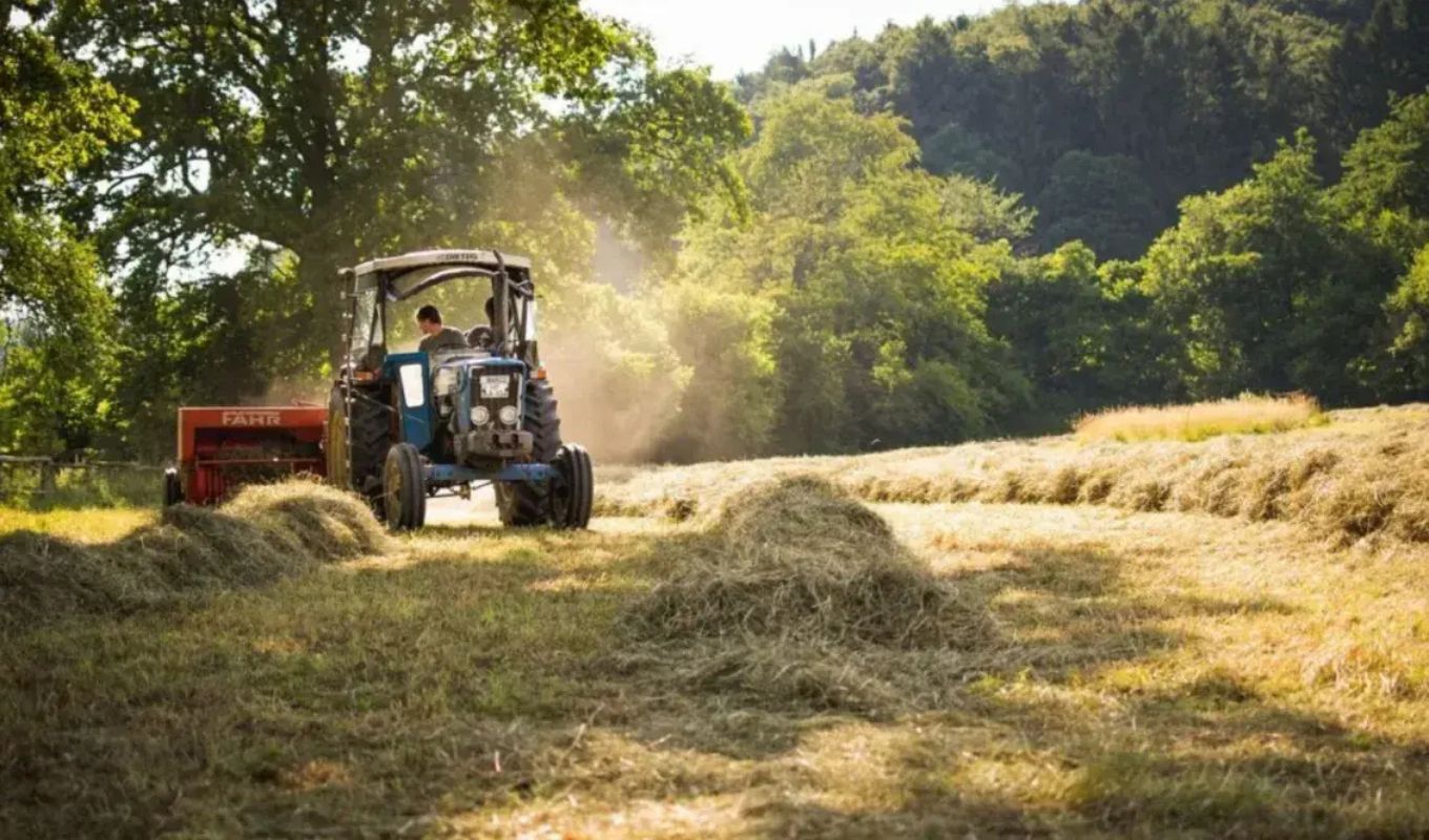 EU-Mercosur trade deal: What it means for Greek products